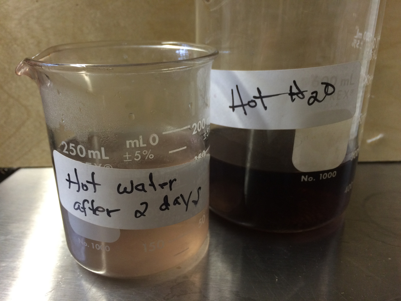 Water | Natural Dye: Experiments and Results