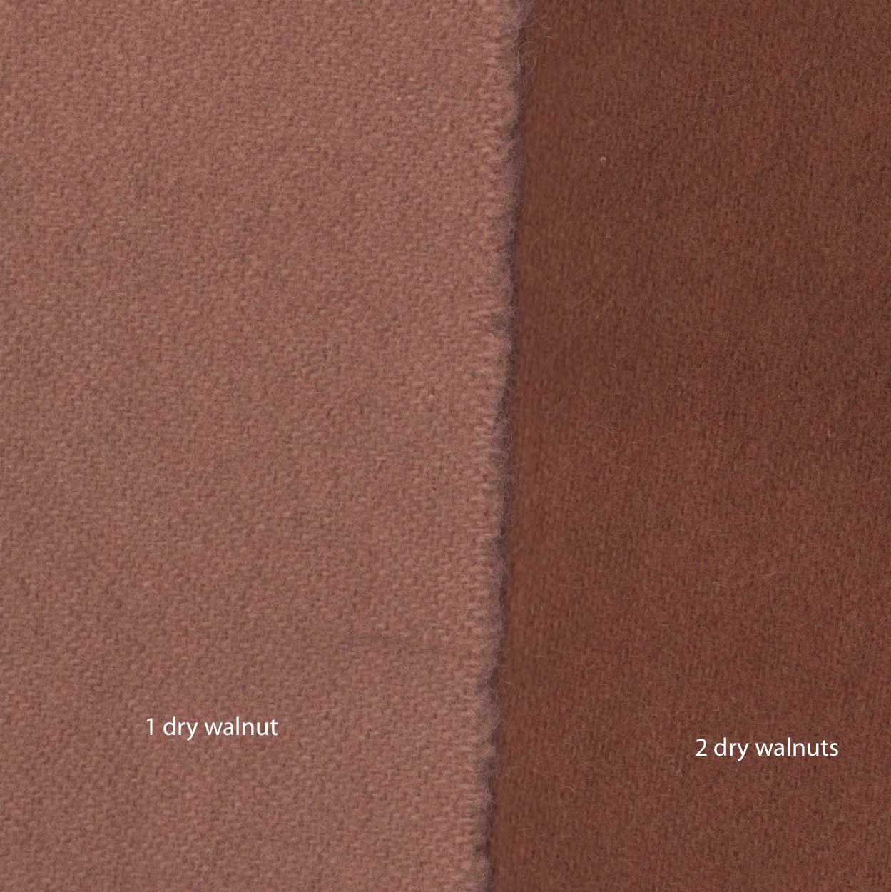 Black Walnut Season | Natural Dye: Experiments and Results