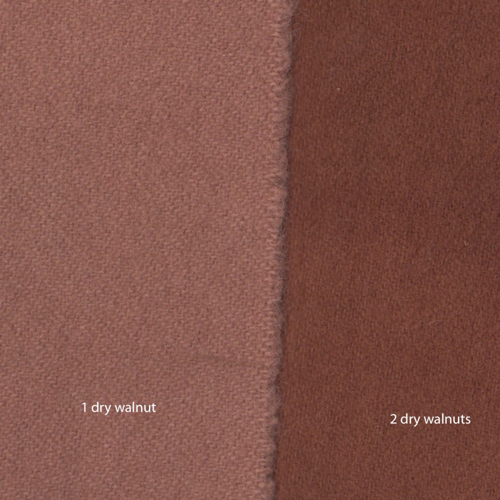 Black Walnut | Natural Dye: Experiments and Results