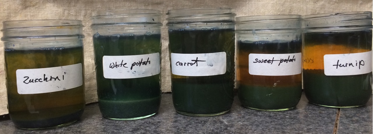 Indigo Reduction Materials | Natural Dye: Experiments and Results
