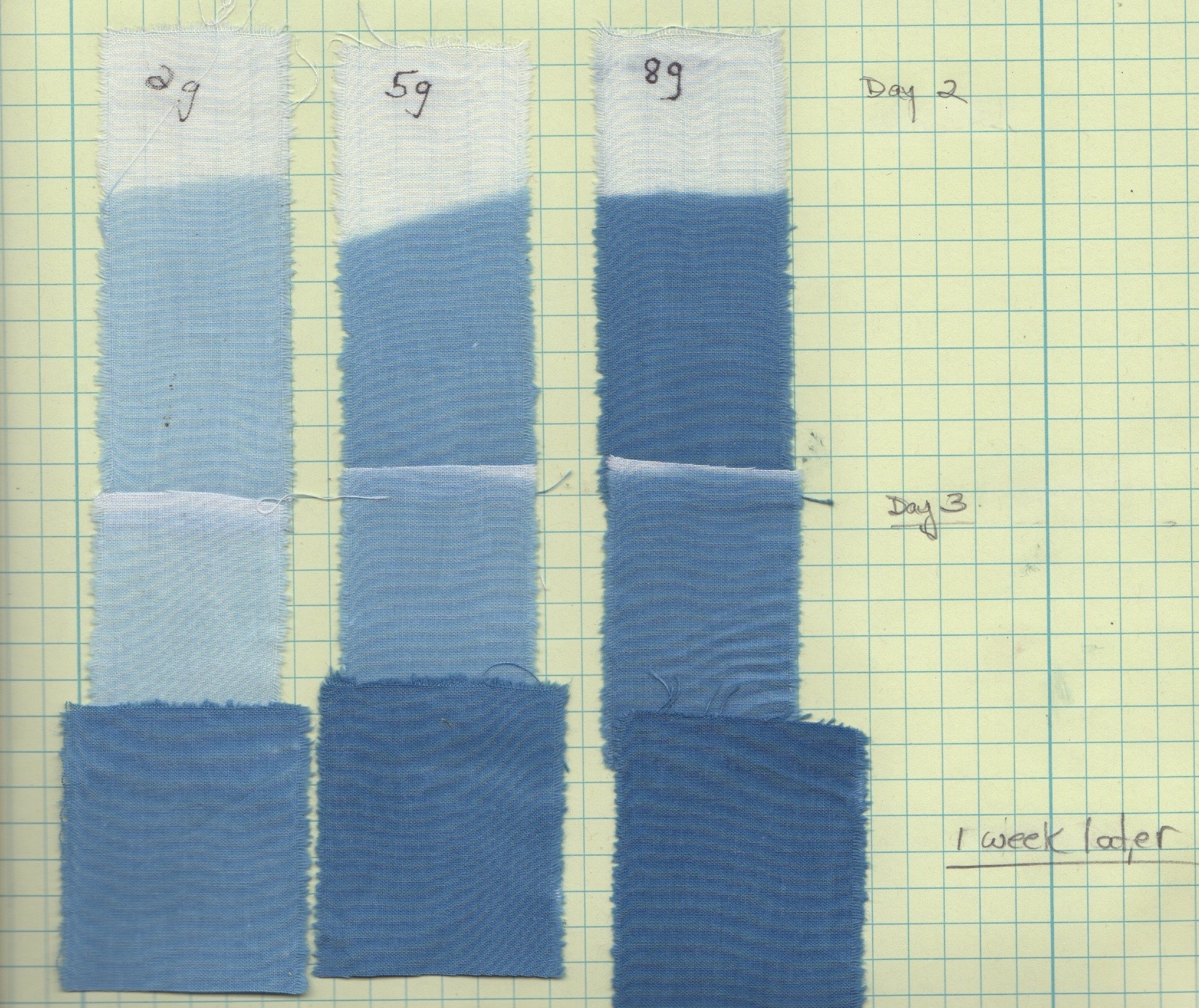 February | 2017 | Natural Dye: Experiments and Results