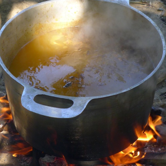Mordants | Natural Dye: Experiments and Results
