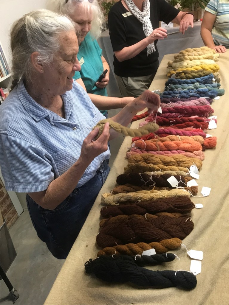 Local Plants | Natural Dye: Experiments and Results