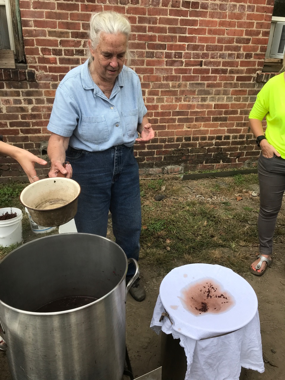 Natural Dye: Experiments and Results | A blog by Catharine Ellis | Page 4