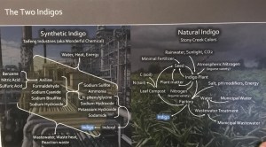 Where is YOUR Indigo Grown? | Natural Dye: Experiments and Results