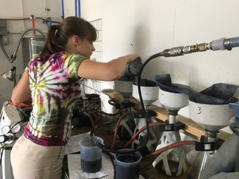 Where is YOUR Indigo Grown? | Natural Dye: Experiments and Results