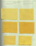 It’s Goldenrod Season | Natural Dye: Experiments and Results