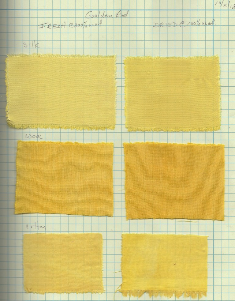 It’s Goldenrod Season | Natural Dye: Experiments and Results