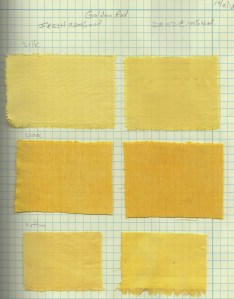 It’s Goldenrod Season | Natural Dye: Experiments and Results