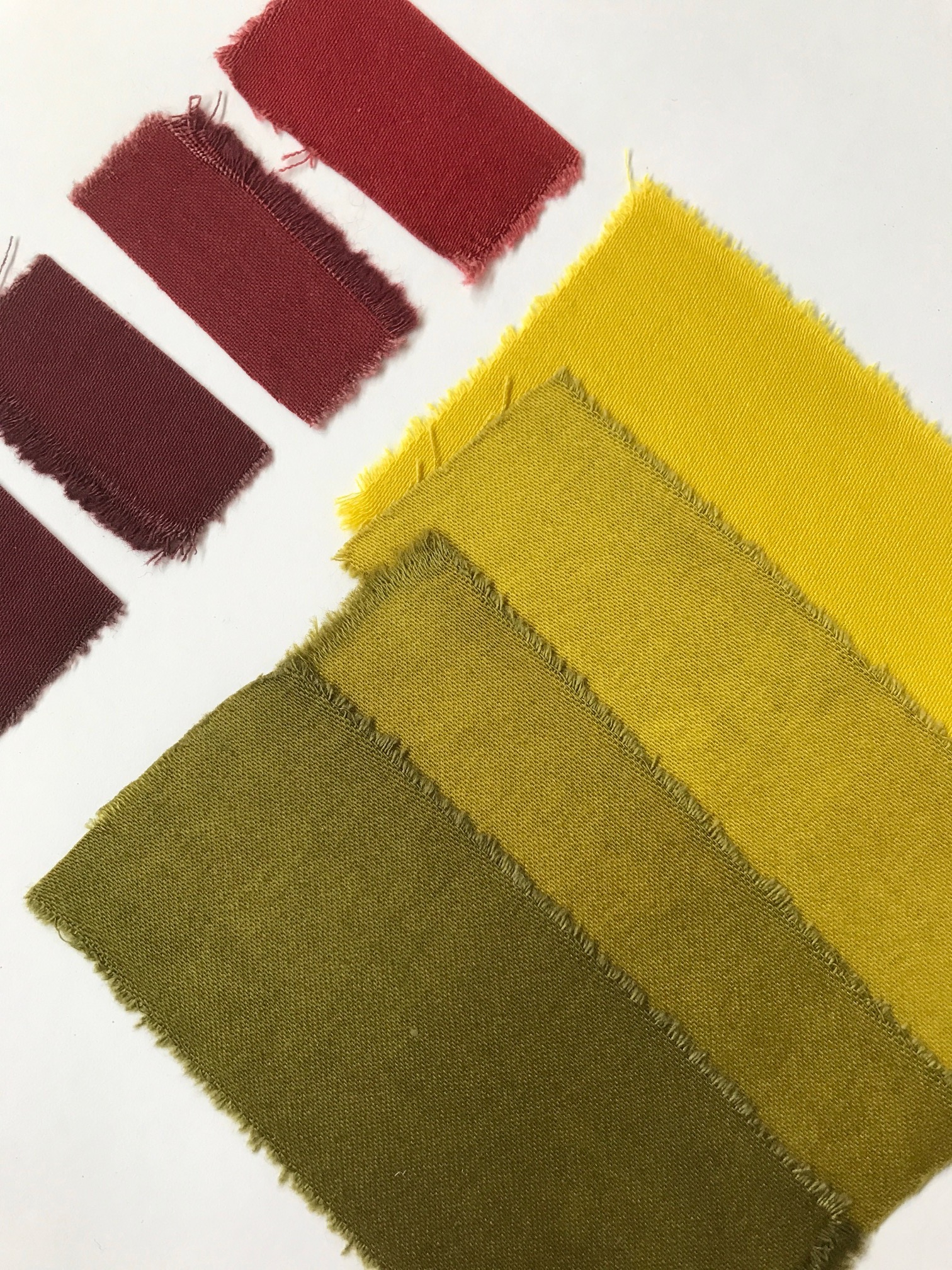 Update on The Book – The Art and Science of Natural Dye | Natural Dye ...