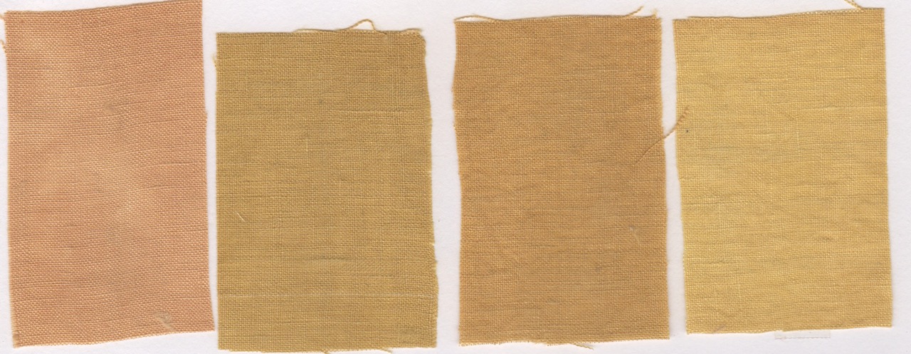 Update on The Book – The Art and Science of Natural Dye | Natural Dye ...