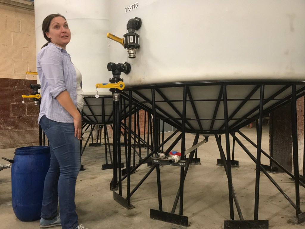 Where is YOUR Indigo Grown? | Natural Dye: Experiments and Results