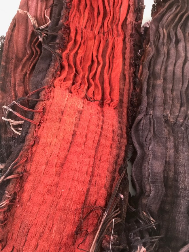 Madder Roots, Harvest, and Comparisons | Natural Dye: Experiments and ...