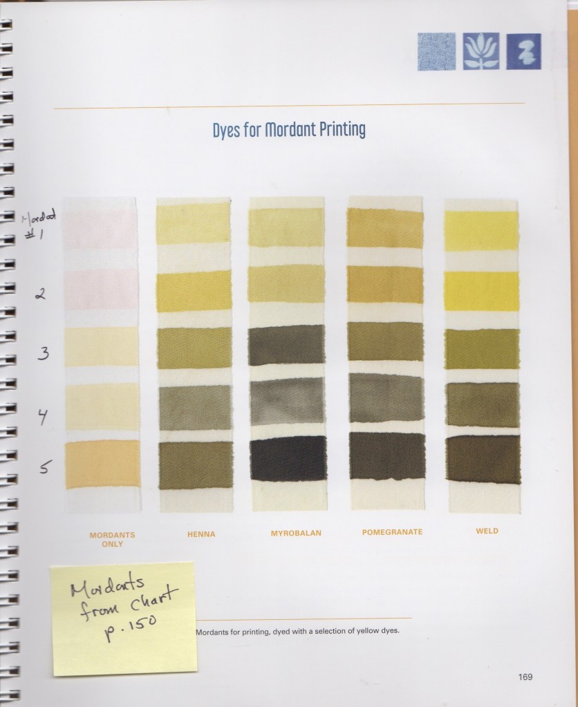 Symplocos – A Plant Mordant | Natural Dye: Experiments and Results