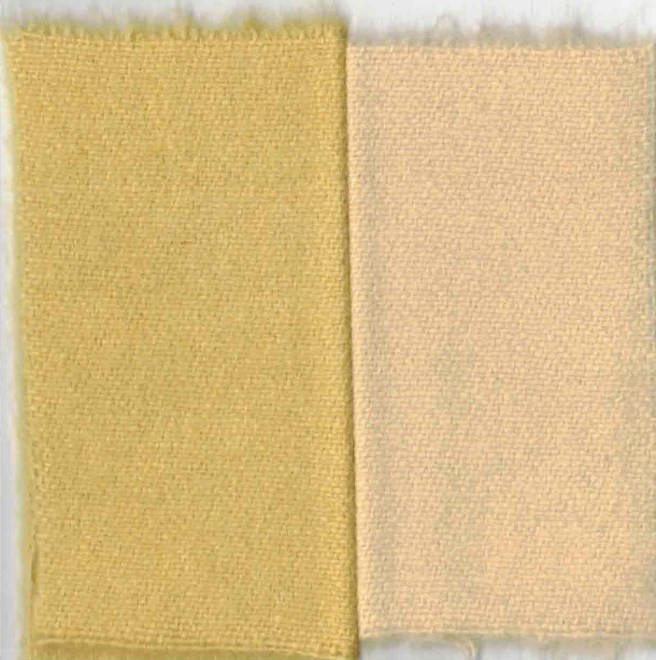 Grape leaves | Natural Dye: Experiments and Results