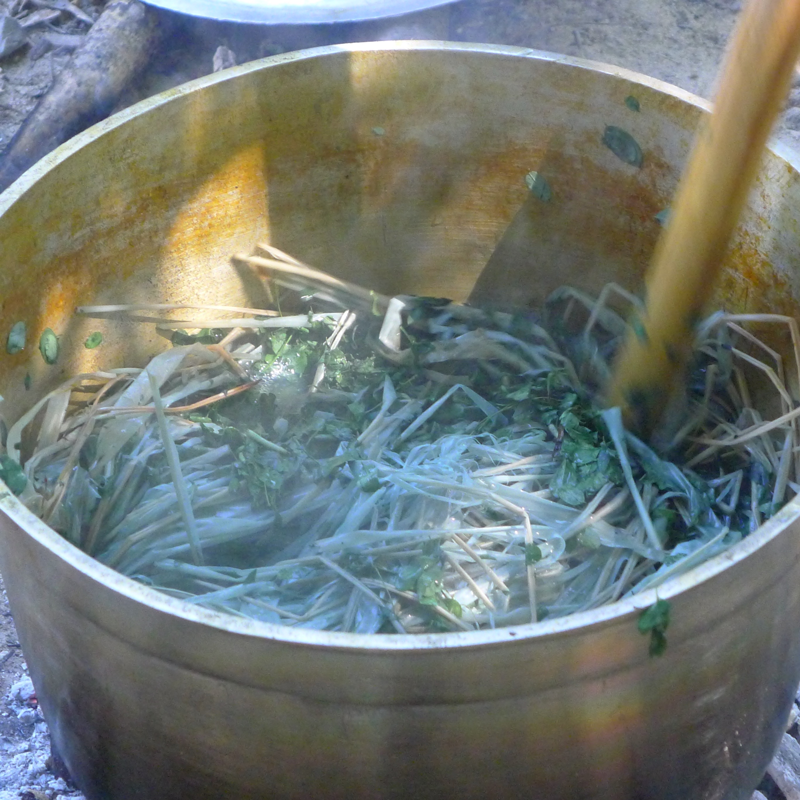 Dyeing with Fresh Indigo Leaves | Natural Dye: Experiments and Results