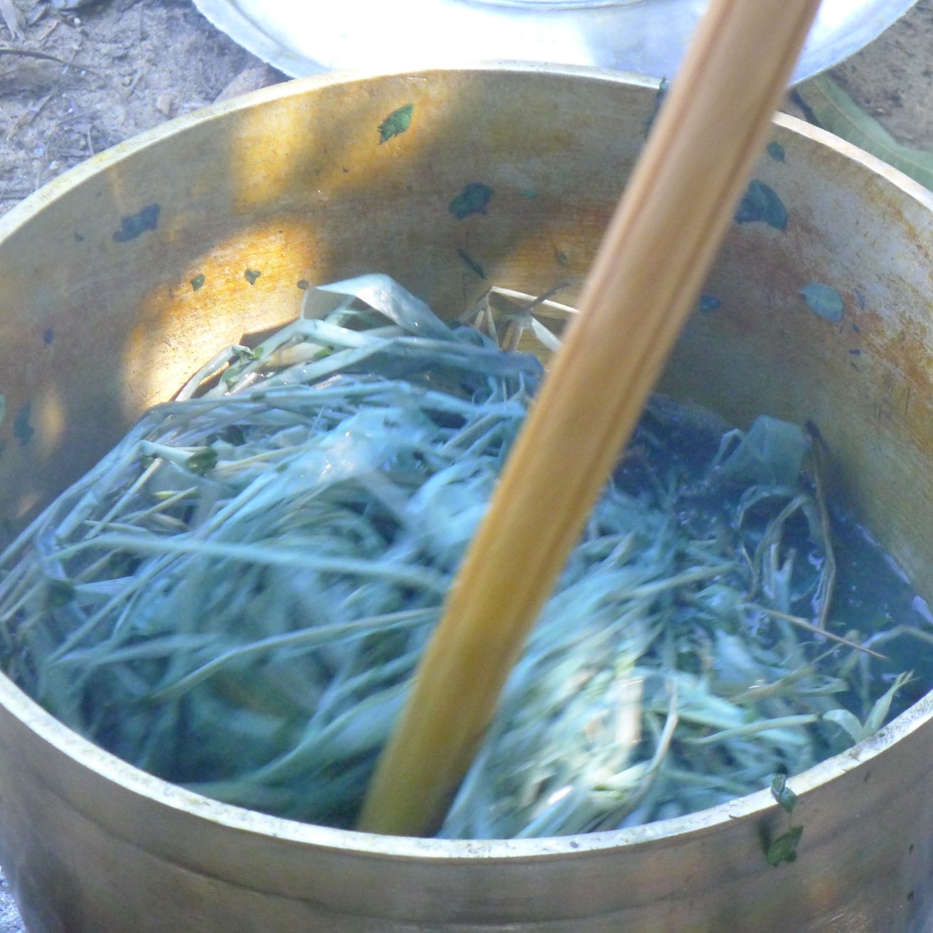 Dyeing with Fresh Indigo Leaves | Natural Dye: Experiments and Results