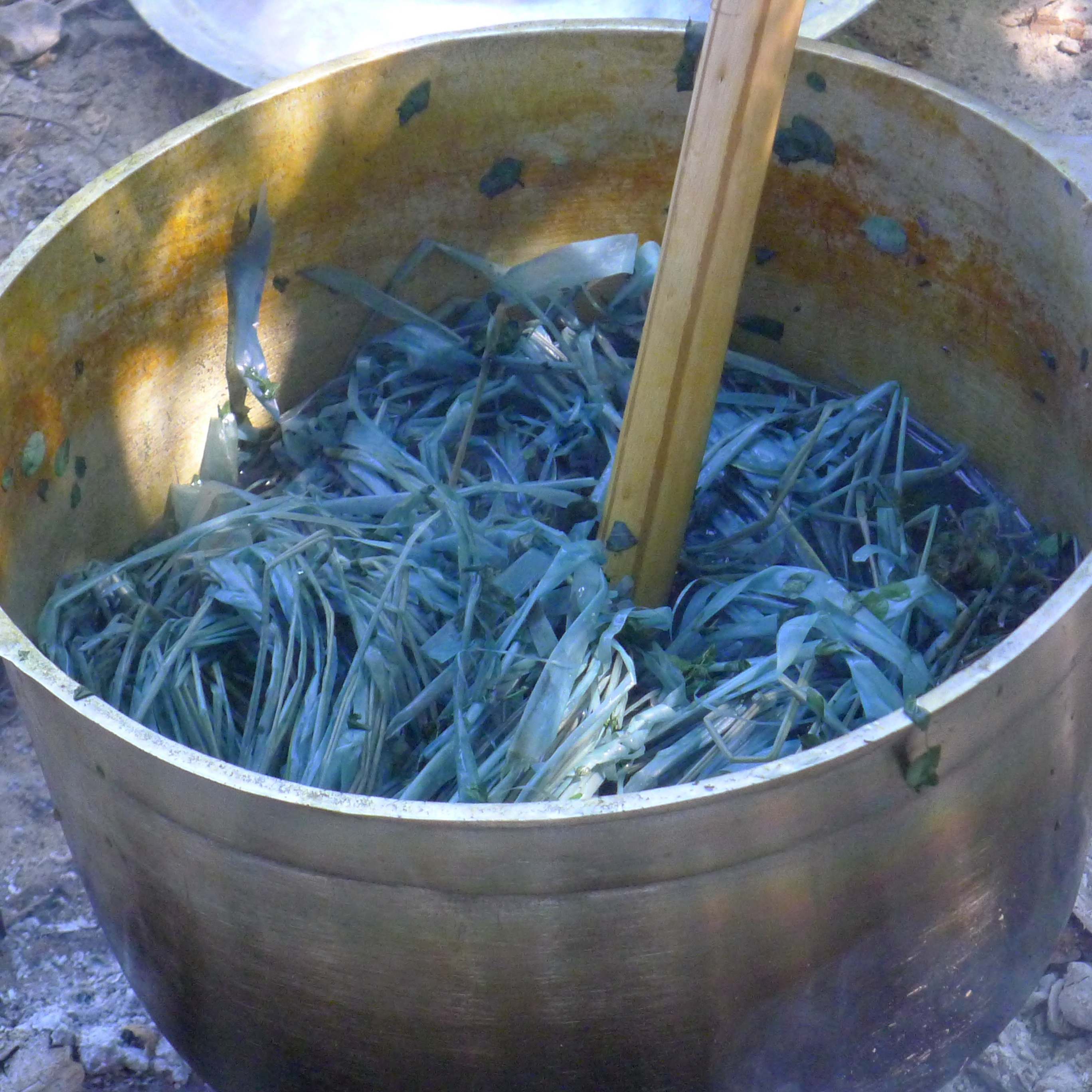 Dyeing with Fresh Indigo Leaves | Natural Dye: Experiments and Results