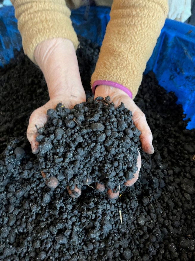 Indigo | Natural Dye: Experiments and Results